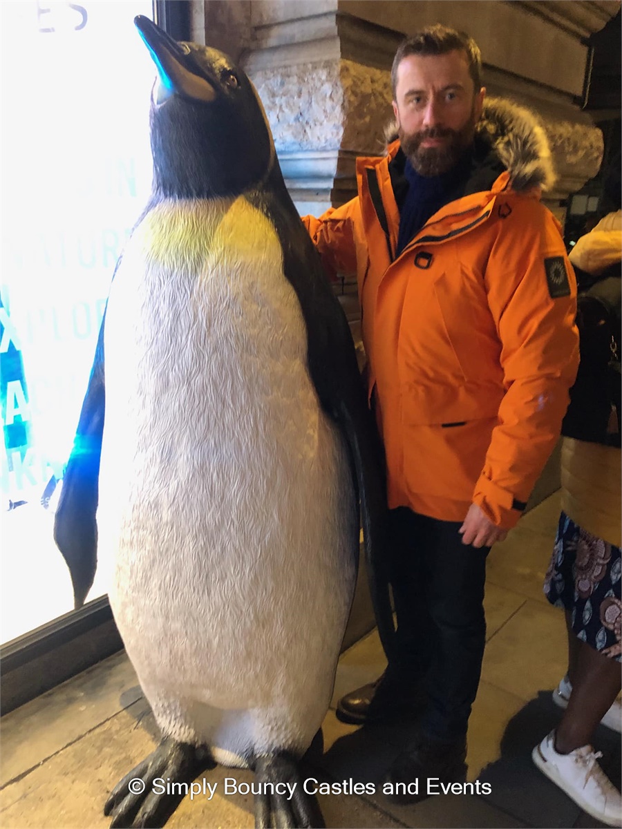 6ft Penguin Christmas Prop Hire in Gravesend, Chatham, Rochester, Gill