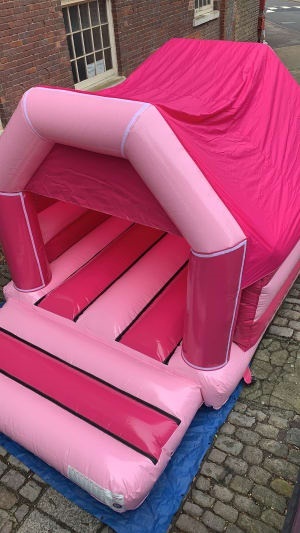 Deluxe Pink Bouncy Castle - Bouncy Castle Hire in Rochester, Dartford ...
