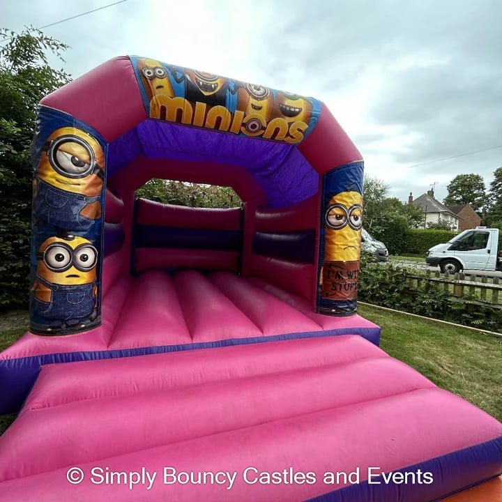 Minion castle Hire